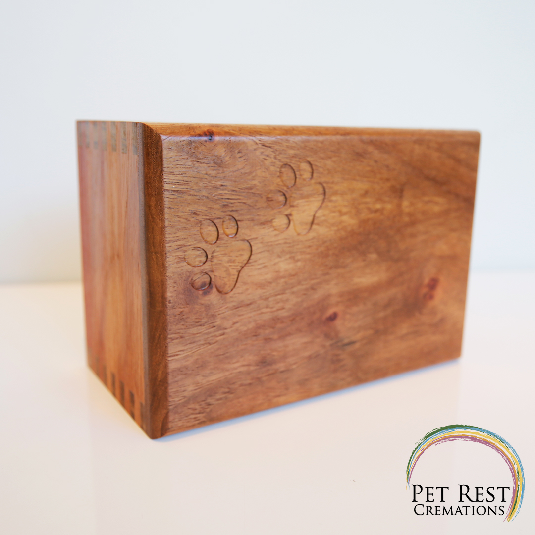Brass paw prints Timber box | Pet Rest Cremations
