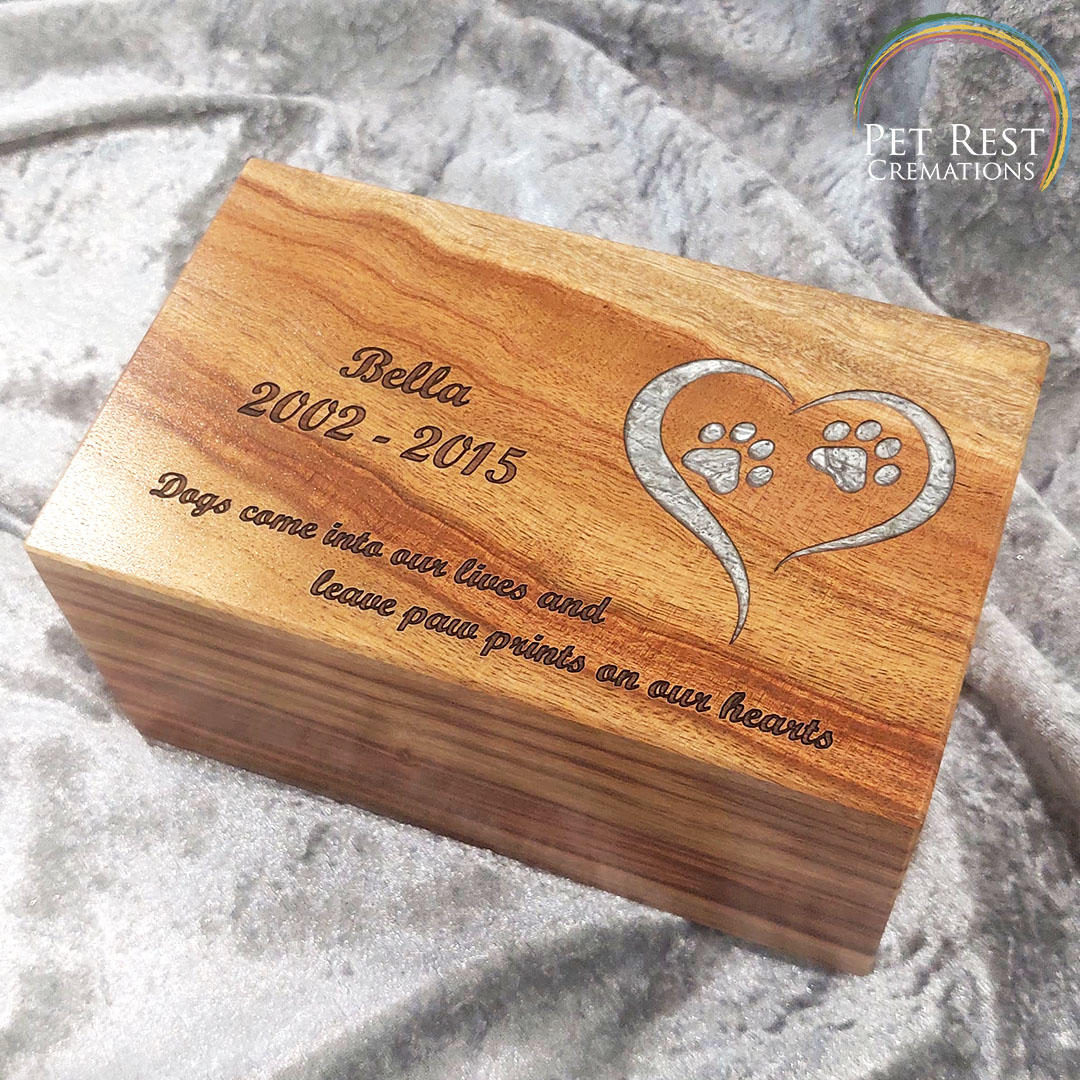 Brass Paw Prints Timber Box | Pet Rest Cremations