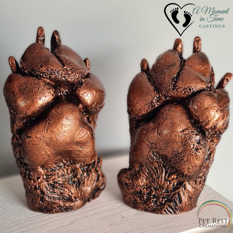 Paw Casting | Pet Rest Cremations