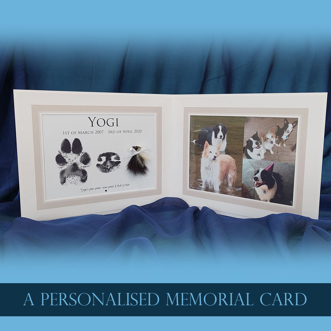 Pet cremation service inclusions - Pet Rest Cremations
