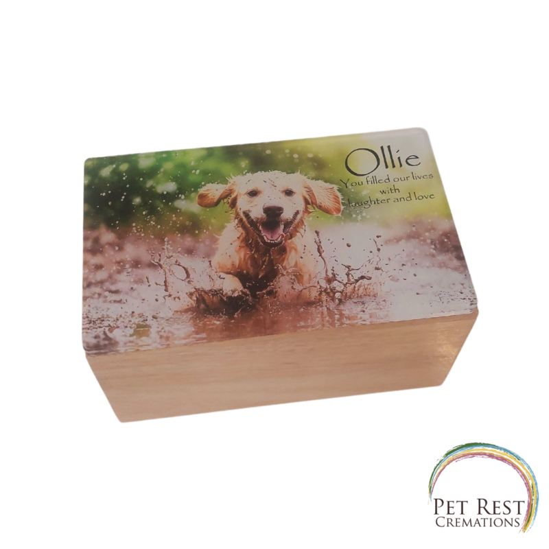 Custom Acrylic Photo Timber Box | Pet Rest Cremations